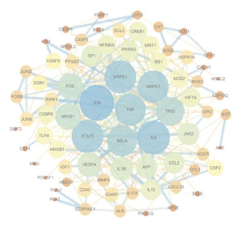 Protein Protein Interaction Ppi Networks Of Active Ingredients Of Hh