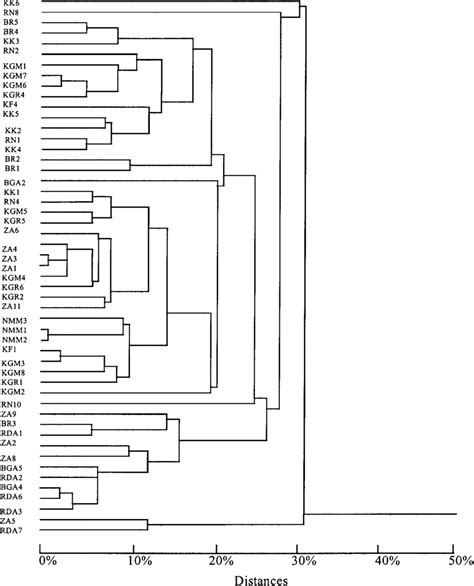 Dendrogram Of 54 P Griseola Single Spore Isolates Based On Their Download Scientific Diagram