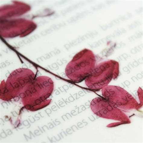 Bake Cookies Write Smut You Have Good Taste