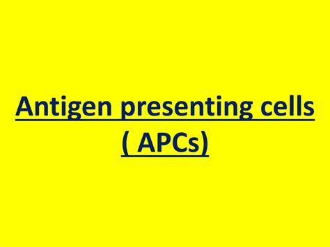 Antigen Presenting Cells Apcs Pptx