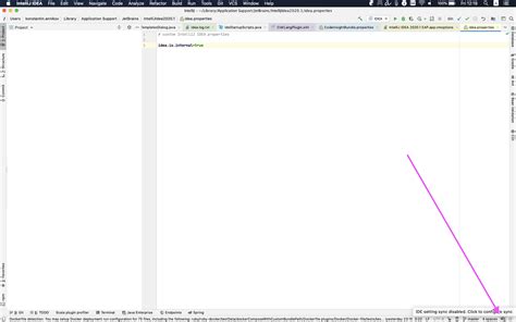 Intellij 20201 Cannot Find Sync Ide Setting Ides Support Intellij