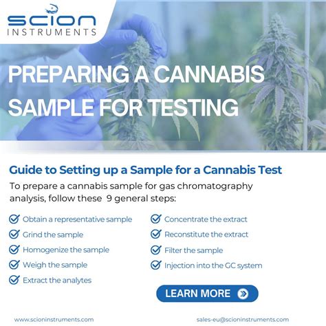 Scion Instruments On Linkedin Learn How To Prepare A Cannabis Sample For Testing And Ensure