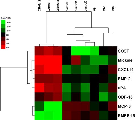 Unsupervised‐hierarchical Clustering Analysis The Fluorescence Signal Download Scientific