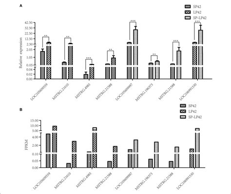 Validation Of Rna Sequencing Rna Seq Data Using Reverse