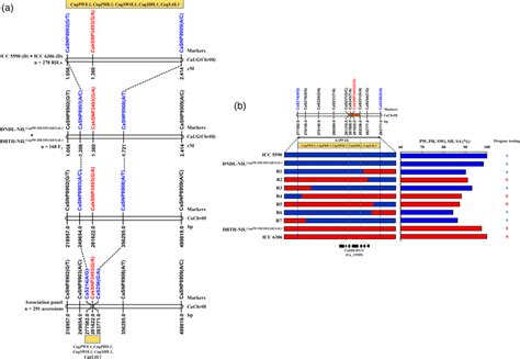 Fine Mapping And Map Based Cloning Narrowed Down A Major Qtl Into Download Scientific Diagram