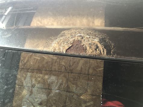 Best Way To Treat This Rust R MechanicAdvice