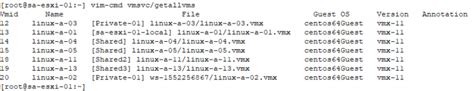 using the vim cmd tool dpc virtual tips
