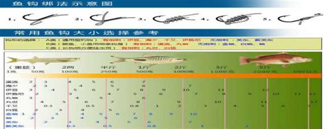 伊豆鱼钩尺寸对照表 伊豆鱼钩用处介绍 知秀网