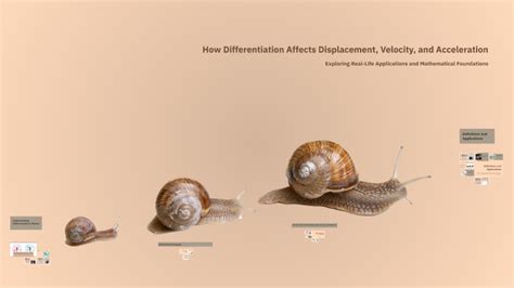 How Differentiation Affects Displacement Velocity And Acceleration By Roudha Almazrouei 12gd