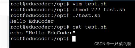 Shell脚本入门——变量、字符串头歌实验平台云计算基础 Csdn专栏