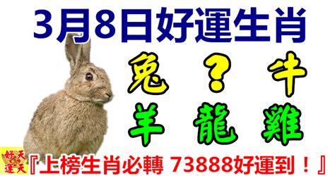 3月8日好運生肖，風生水起接好運！【兔？牛羊龍雞】『上榜生肖必轉 73888好運到！』 Peekme