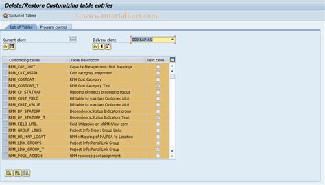 RPM CLNTCOPY SAP Tcode Client Copy Report Transaction
