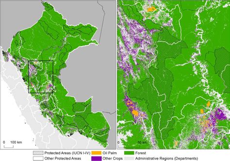 Palm Oil Deforestation Map