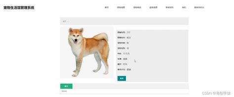 [独有源码]java jsp宠物生活馆管理系统2dfu8规划与实现适合自己的毕业设计的策略 csdn博客