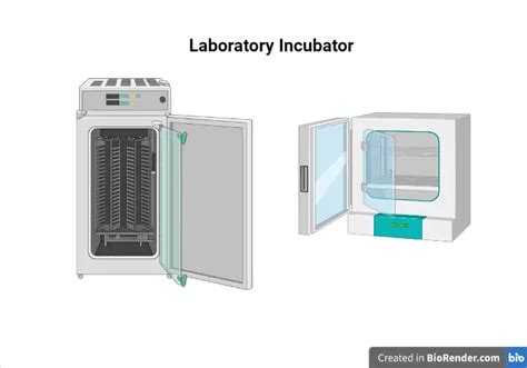 Laboratory Incubator Principle Parts Types And Uses • Microbe Online