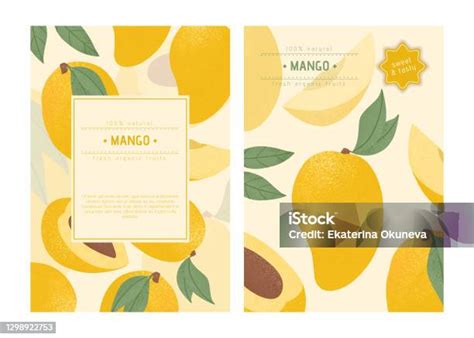 잎 카드 템플릿과 잘 익은 망고 달콤한 망고 과일 벡터 손으로 그린 포스터 디자인 망고에 대한 스톡 벡터 아트 및 기타 이미지 망고 포장 0명 Istock