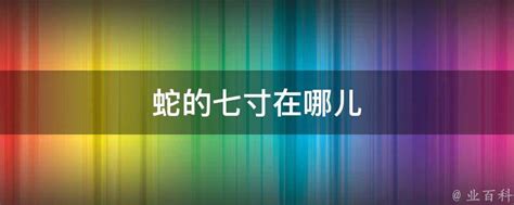 蛇的七寸在哪儿 业百科