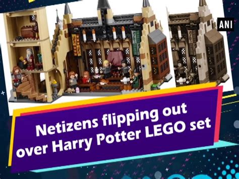 Netizens Flipping Out Over Harry Potter Lego Set