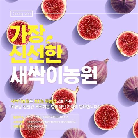 꿀무화과 키우는 새싹이농원 오래 기다리셨죠😍 긴 장마 많은 비로 전국 각종 과일들 모두 고생한 올 여름이예요 저희 무화과는 하우스재배 거기다 상자재배를 하여 모든