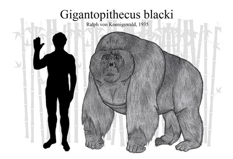 Gigantopithecus Blacki Updated By Rhysdylan01 On Deviantart