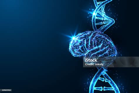 신경 과학 신경 유전학 유전자 탐구 뇌와 Dna 가닥을 가진 미래 개념 Dna에 대한 스톡 벡터 아트 및 기타 이미지 Dna