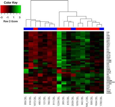 Hierarchical Clustering And Heat Map Hierarchical Clustering And Heat