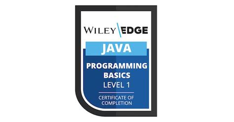 Nicholas Tan On Linkedin Java Level 1 Programming Basics Was Issued