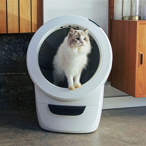 Litter Robot 4 Reviews 2024 Hynda Laverna