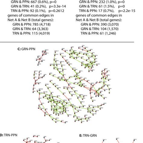 Structural And Functional Network Analysis Of The Overlap Between Pairs