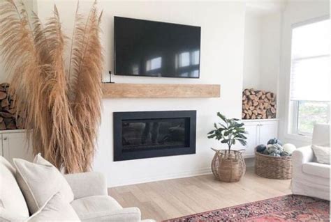 5ft 3pc Natural Uva Stalk Pampas Natural Stalk Natural Branches