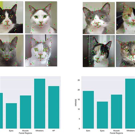 Examples Of Geometric Descriptors Calculated From 37 Facial Landmarks