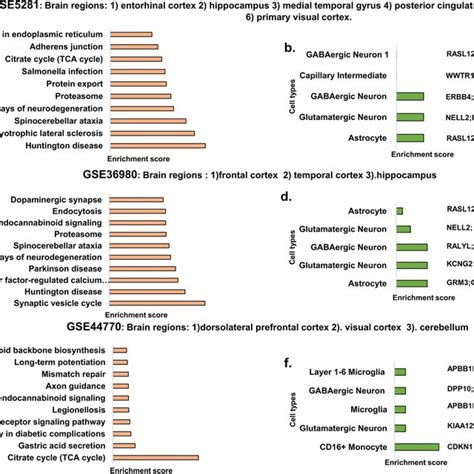 Gene Expression Data Analysis Of Gse5281 Gse36980 And Gse44770 Geo