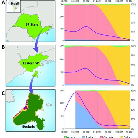 Comparison Of The Sars Cov 2 Lineage Predominance Dynamics And Record Download Scientific