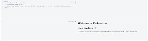 Review Khóa Học Techmaster Web Cơ Bản Html5 Css3 Và Javascript Dev Chat Dạy Nhau Học