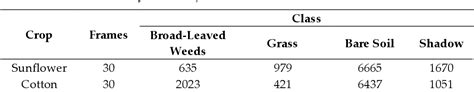 Table 3 From Early Detection Of Broad Leaved And Grass Weeds In Wide Row Crops Using Artificial
