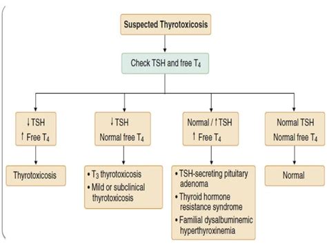 Lecture 1 Evaluation Of Thyroid Nodule Pptx