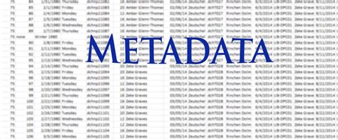 the value of metadata in digital collections projects bitstreams the