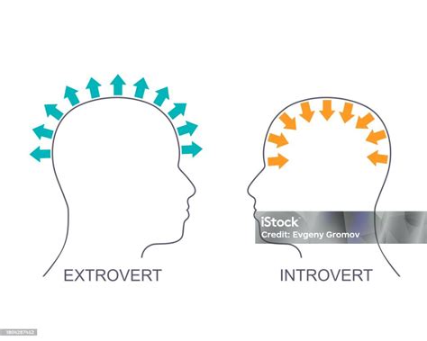 Introvert And Extrovert Comparison Human Heads With Arrow Different Character Social
