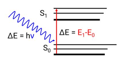 Principle Of Uv Spectroscopy Uv Vis Spectroscopy