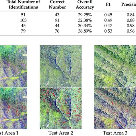 the accuracy identification using yolov5 download scientific diagram