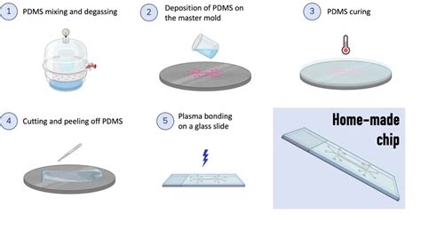 Pdms In Microfluidics Properties Applications And Advancements
