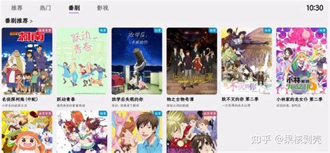 哔哩哔哩第三方播放软件，bbll软件体验 知乎