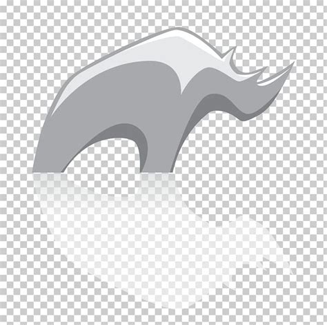 Web Development Lasso Computer Icons Programming Language Png Clipart