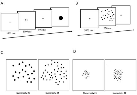 The Numerosity Production Task A Involving Participants To Perform A Download Scientific