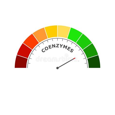 Coenzymes Level On Measure Scale Instrument Scale With Arrow Infographic Element A Cofactor