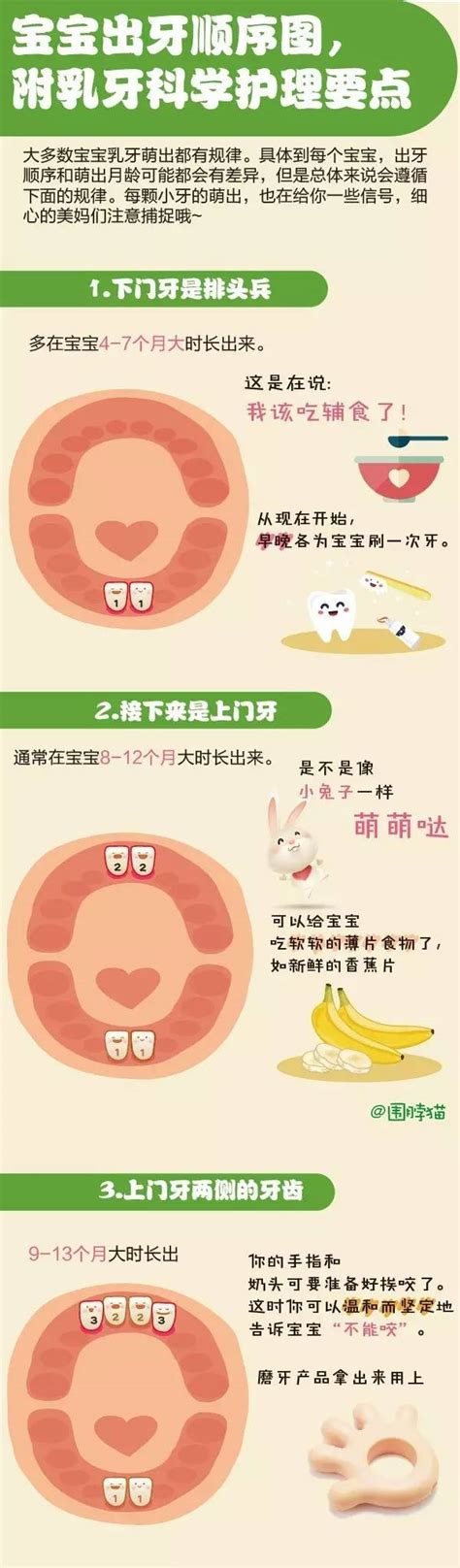 恒牙萌出时间及顺序图 恒牙萌出顺序图 第5页 大山谷图库