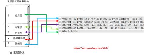 Wireshark抓包分析tcp建立释放链接的过程以及状态变迁分析 Csdn博客