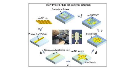 Fully Printed Low Voltage Field Effect Transistor Biosensor Array For One Drop Detection Of