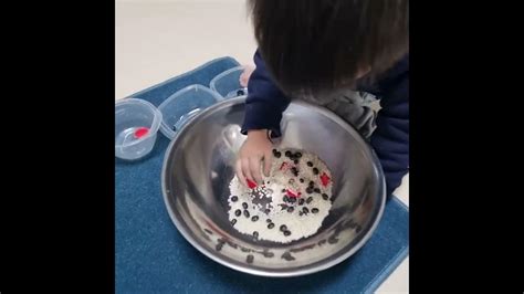 23개월 아기 색깔 물건 구분 분류하기 Youtube