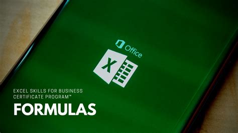 Excel Skills For Professionals Toptalent